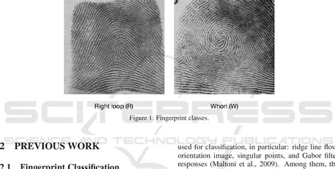 Figure 1 From Fast Fingerprint Classification With Deep Neural Networks Semantic Scholar