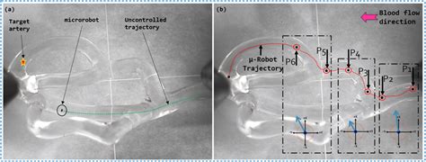 magnetic guidance result of a soft ferromagnetic microrobot in a 3d