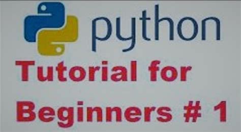 Teach Python Programming To Beginners By Ibrahimsaoud Fiverr