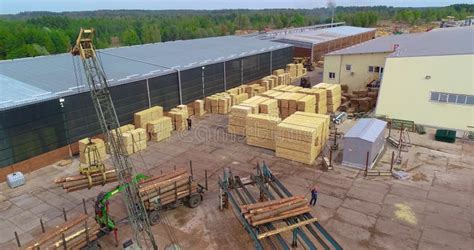 Crane Unloads Logs On The Sorting Line Automated Log Sorting Line
