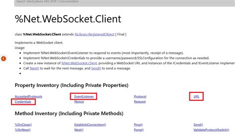 Using Netwebsocketclient Intersystems Developer Community