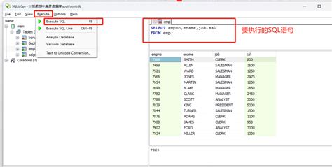 Sql初学者入门指南：轻松掌握数据库基础sql是什么软件 Csdn博客