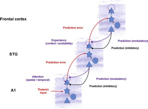 Contextual Factors And Hierarchical Message Passing This Schematic Download Scientific Diagram