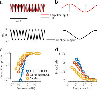 Amplifier Transfer Function A Measuring The Amplifier Transfer Download Scientific Diagram