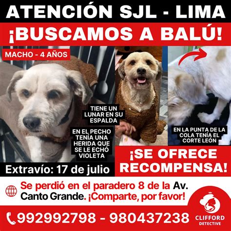 Clifford Mascotaperdida 🚨𝐁𝐔𝐒𝐂𝐀𝐌𝐎𝐒 𝐀 𝐁𝐀𝐋𝐔́ 📍𝐄𝐱𝐭𝐫𝐚𝐯𝐢𝐚𝐝𝐨 𝐞𝐧 𝐒𝐀𝐍 𝐉𝐔𝐀𝐍 𝐃𝐄