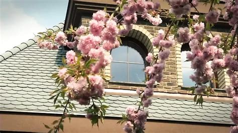 Stor Byst Sk Nhet Krystal Swift Har Elegant Sex Med De Flesta Av Sina Dukar P Xhamster