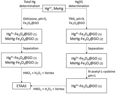 Scheme Of The Process From Extraction To Analysis Complete And