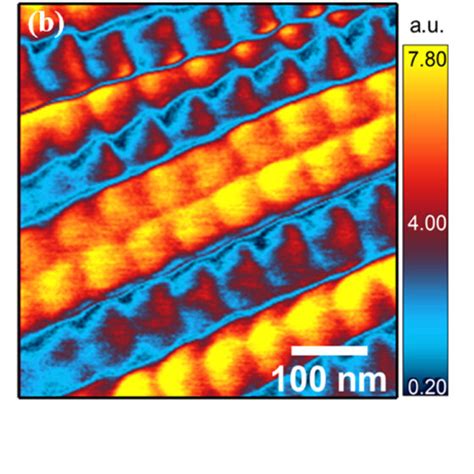 Pca Analysis Of Se Pfm A Singular Values Representing The Importance