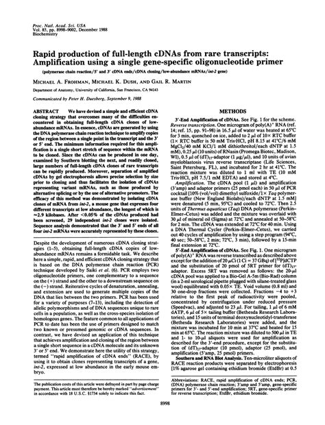 Rapid Production Of Full Length Cdnas From Rare Transcripts Amplification Using A Single Gene