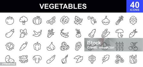 야채 아이콘 세트입니다 토마토 오이 콜리플라워 가지 무 버섯 생강 브로콜리 옥수수 셀러리 마늘 등과 같은 아이콘이 들어 있습니다 벡터 일러스트 레이 션 가지 채소에 대한