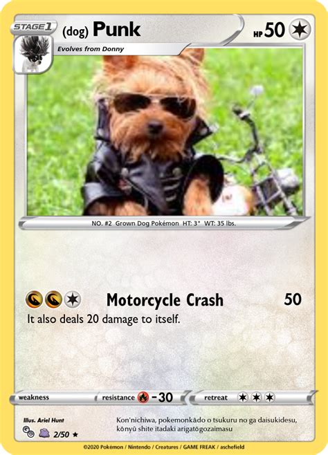 Punk Pokemon Lover Poké