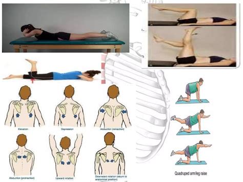 Thoracic Kyphosis Thoracic Hyperkyphosis Pptx Death Injury Or