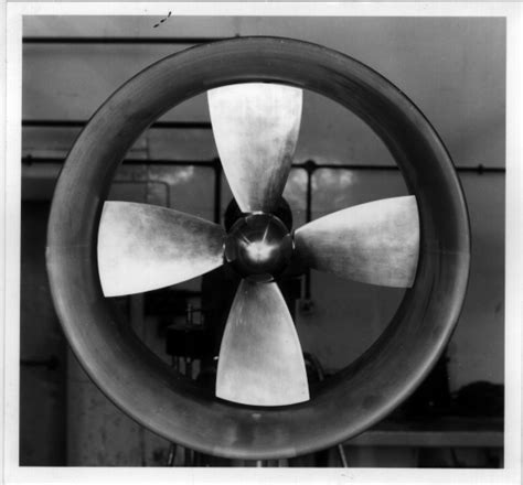 Emeritus Professor Rilewis