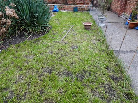 De Thatching The Lawn To Promote Grass Growth Kezzabeth Diy And Renovation Blog