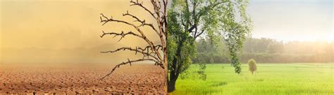 Last Update July 16 2024