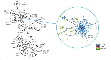Mlst Results Showing The Genetic Relatedness Between C Jejuni