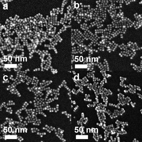 A Xrd Patterns Of Pd Pt Alloy Pd Pt Core Shell Monometallic Pd And