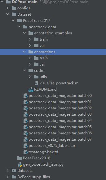 can this run on the windows system · issue 23 · pose group dcpose