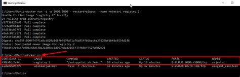 Hostowanie Aplikacji Web Net Core W Kontenerach Docker Na Windows Blog It Business Pl