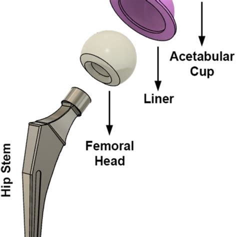 Exploded Cad View Of The Four Main Components Of A Total Hip