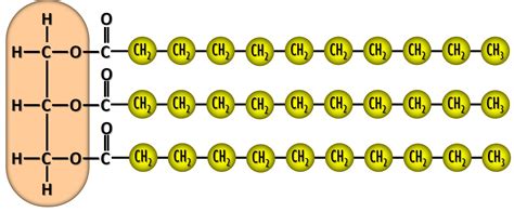 Triglyceride Oer Commons