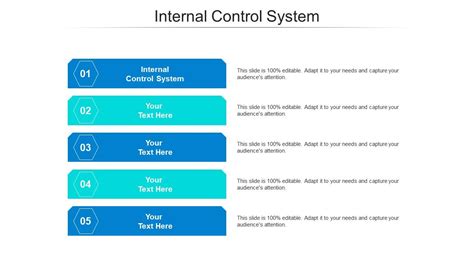 Internal Control System Ppt Powerpoint Presentation Gallery Portrait Cpb Presentation Graphics