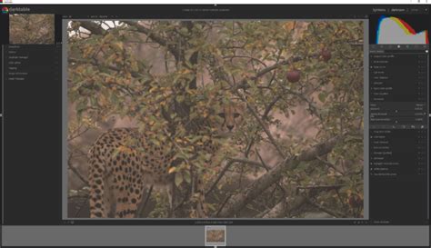 The Top Best GIMP Plugins To Get In With Tips The Top Best GIMP Plugins To Get In With Tips
