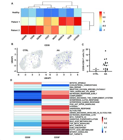 Transcriptional And Scrna Seq Analysis Reveals Increased Cd38 Cd8