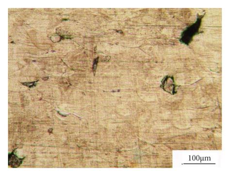 Morphology Of The Molten Pool Perpendicular To The Laser Scanning Download Scientific Diagram