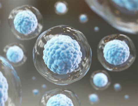 바이오솔루션 주가 분석 및 전망 관절염 세포치료제 시장 확대 기대감 속 성장 가능성은