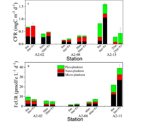 Effects Of The DFe Addition On The Size Fractionated CFR A And FeUR Download Scientific