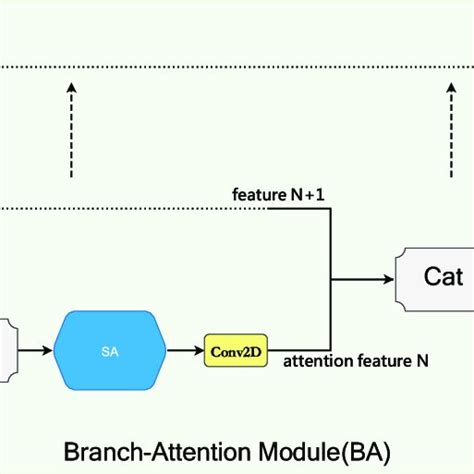 the branch attention module download scientific diagram