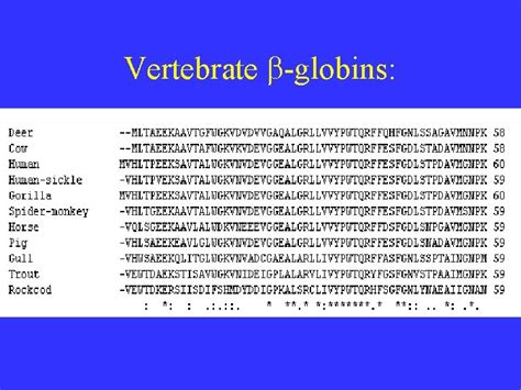 msa multiple sequence alignment aligning many sequences is