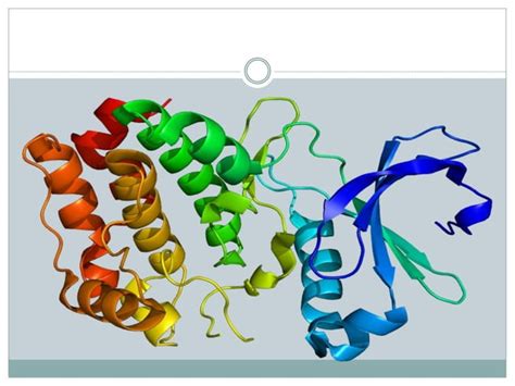 Receptor Ppt By Kashikant Yadav Ppt