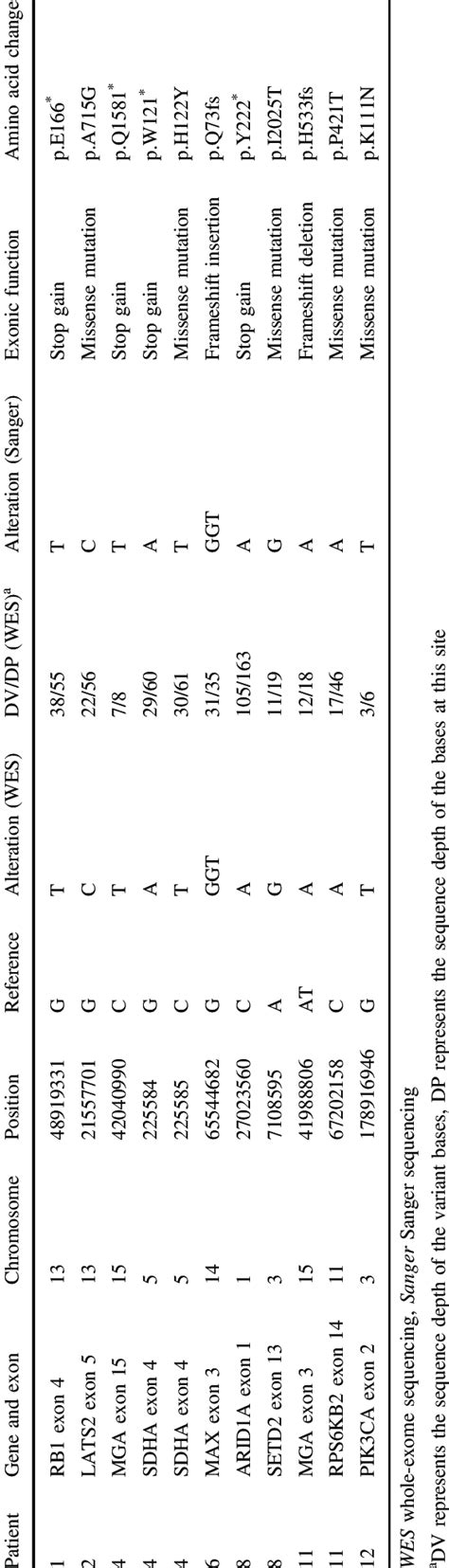 Differential Oncogenic Mutations In High Grade GISTs Confirmed By WES Download Scientific