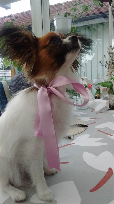 Winnie Sex M Nader Riinas