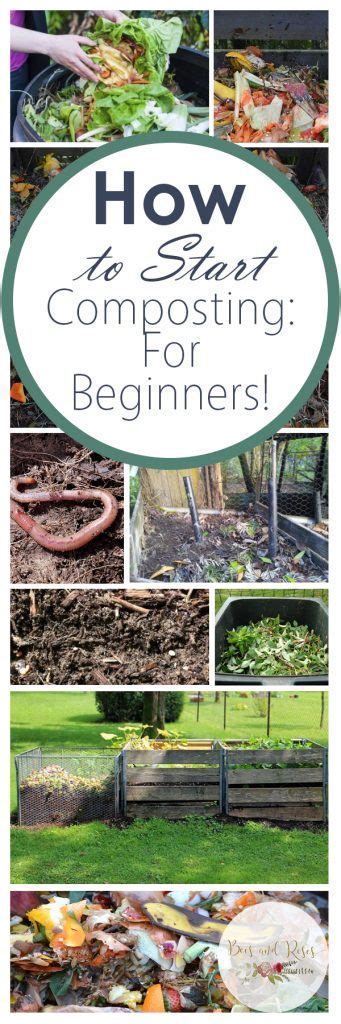 How To Start Composting For Beginners Bees And Roses Gardening Tips And Hacks