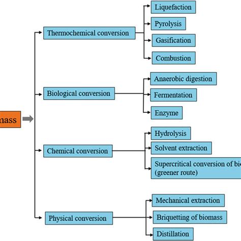 5 Biomass Conversion Process Download Scientific Diagram