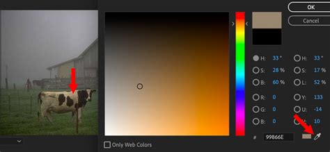 A Really Fast Way To Color Correct An Image In Adobe Premiere Pro Larry Jordan