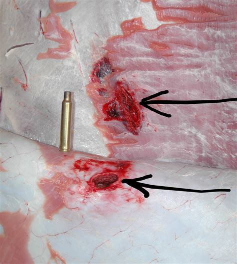 All Copper Bullets Page 2