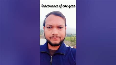 How Does A Single Gene Decide Traits 🧬 Neet2025 Neetbiology