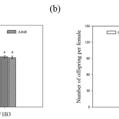 Maternal Effect Of MP BP Fragments In The First And Third Brood Of Download Scientific