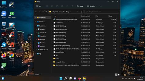 Windows 11 Temp