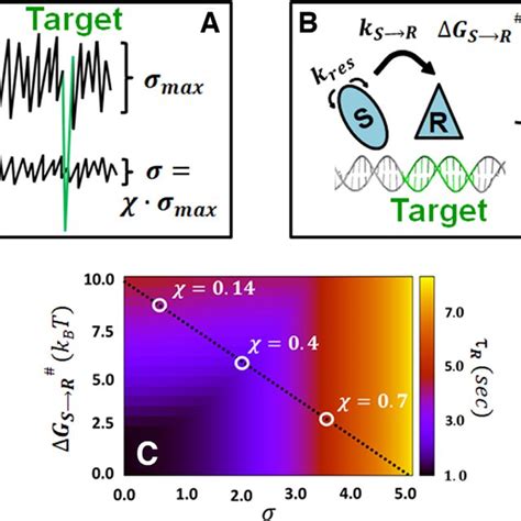 A Schematic Representation Of The Presented Model For A Dbp Finding And