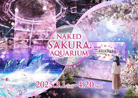NAKED Sakura Aquarium Th Mar To Th Apr