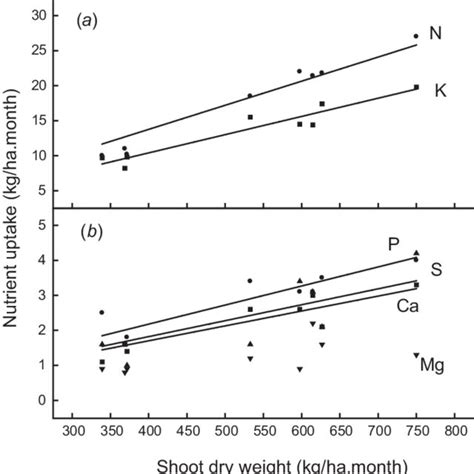 The Relationship Between The Uptake Of A Nitrogen And Potassium Download Scientific