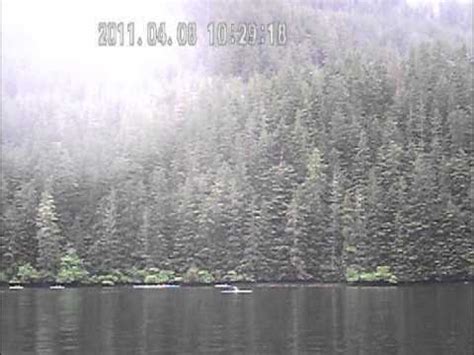 Humpback In Camp Coogan Bay Youtube