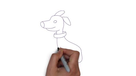 Учимся рисовать собаку Youtube
