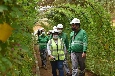 Surigao Denr Asec Nonita Caguioa Mgb Rd Larry Heradez Visit Taganito