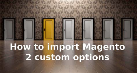 Magento 2 Custom Options Firebear